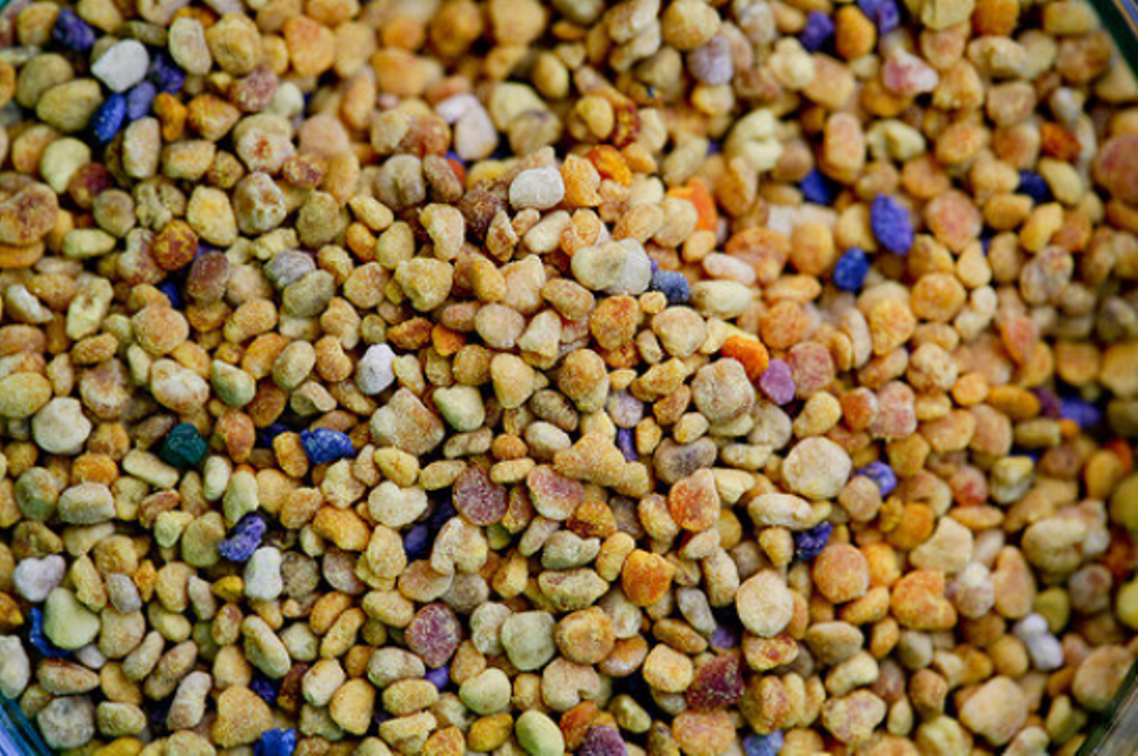 Welcome to the Dancing Bee!!! – Dancing Bee Apiary & Bakery